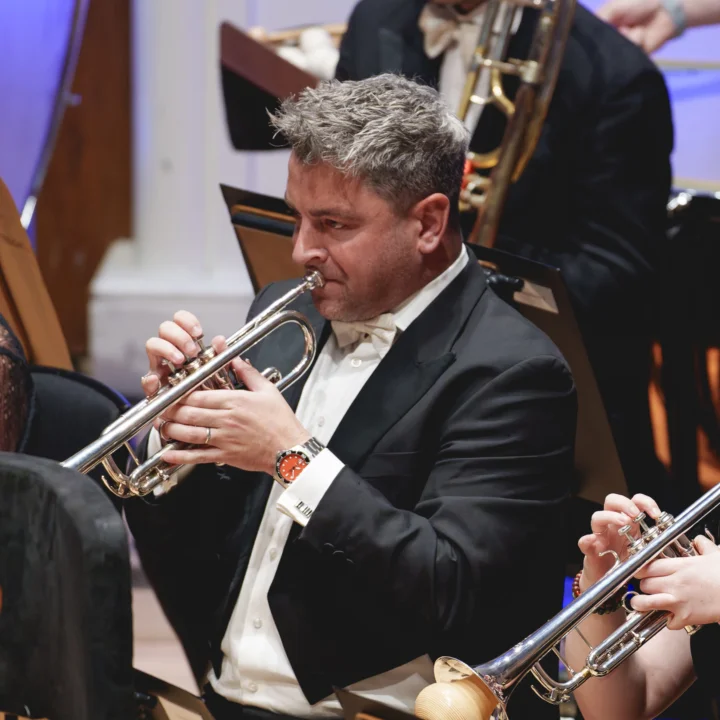The Orchestra - Royal Philharmonic Orchestra